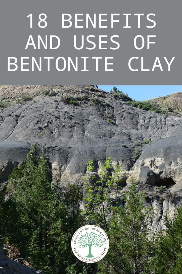 18 Benefits And Uses Of Bentonite Clay