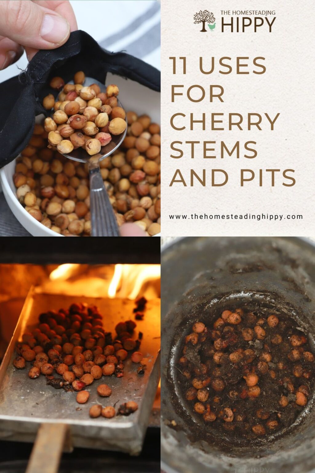 11 Uses for Cherry Stems and Pits. What to Do With Them