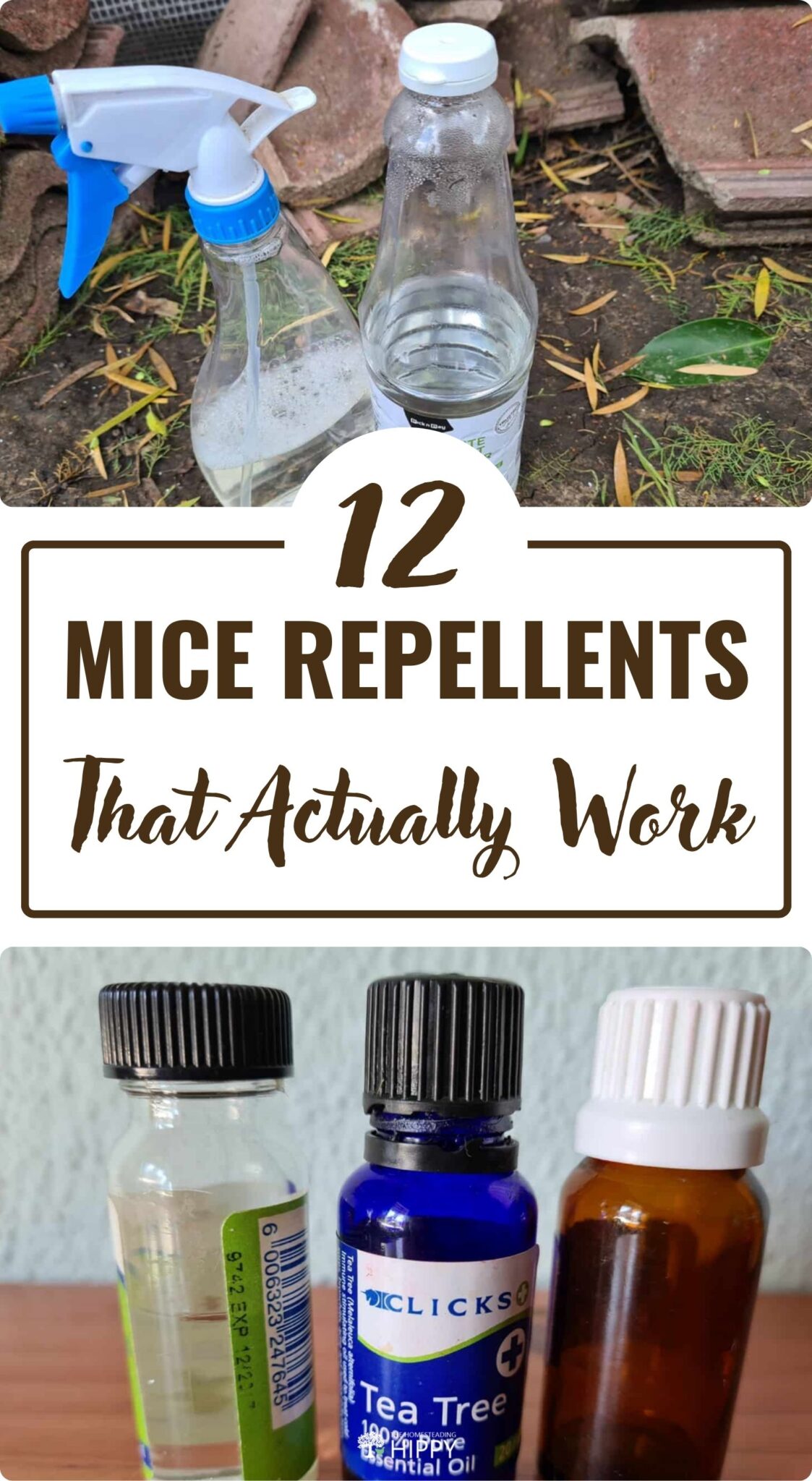 12 Mice Repellents That Actually Work