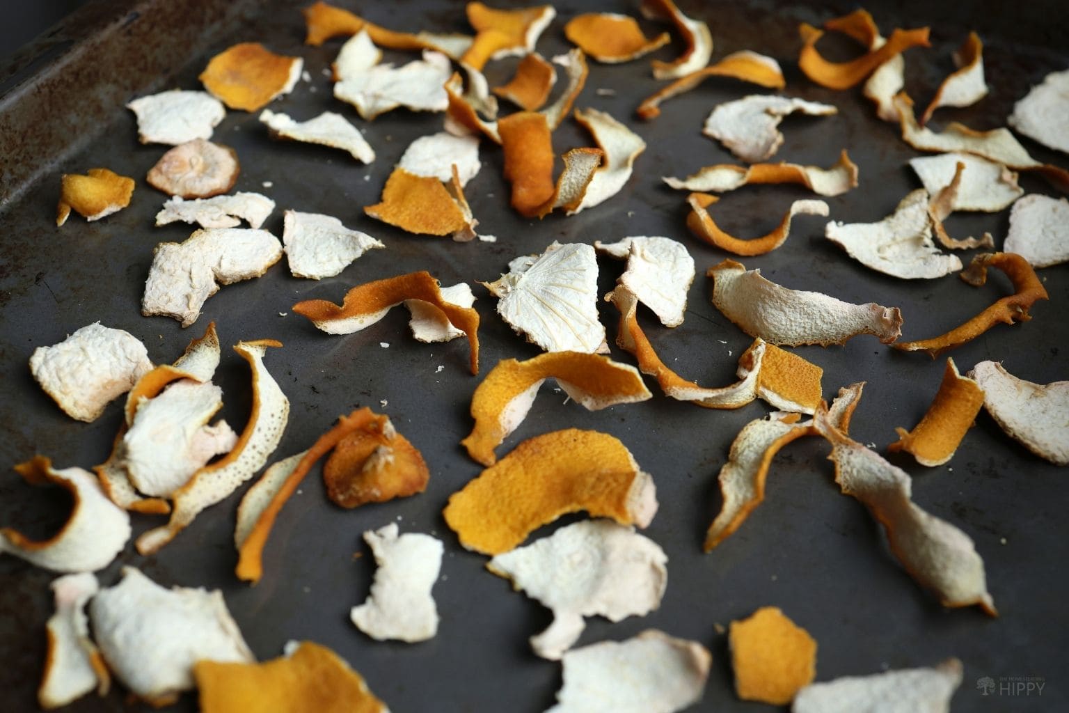 Making Lemon Powder (from Fruit or Peels)