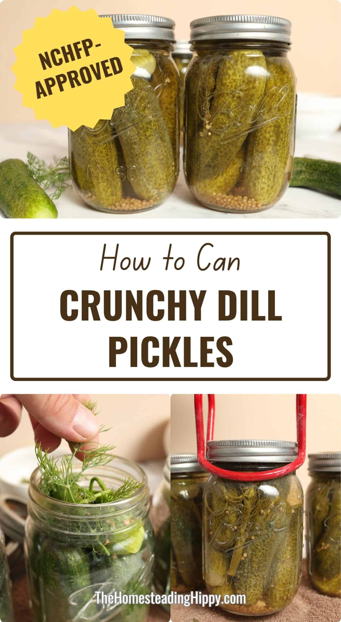 How to Can Crunchy Dill Pickles Like a Pro